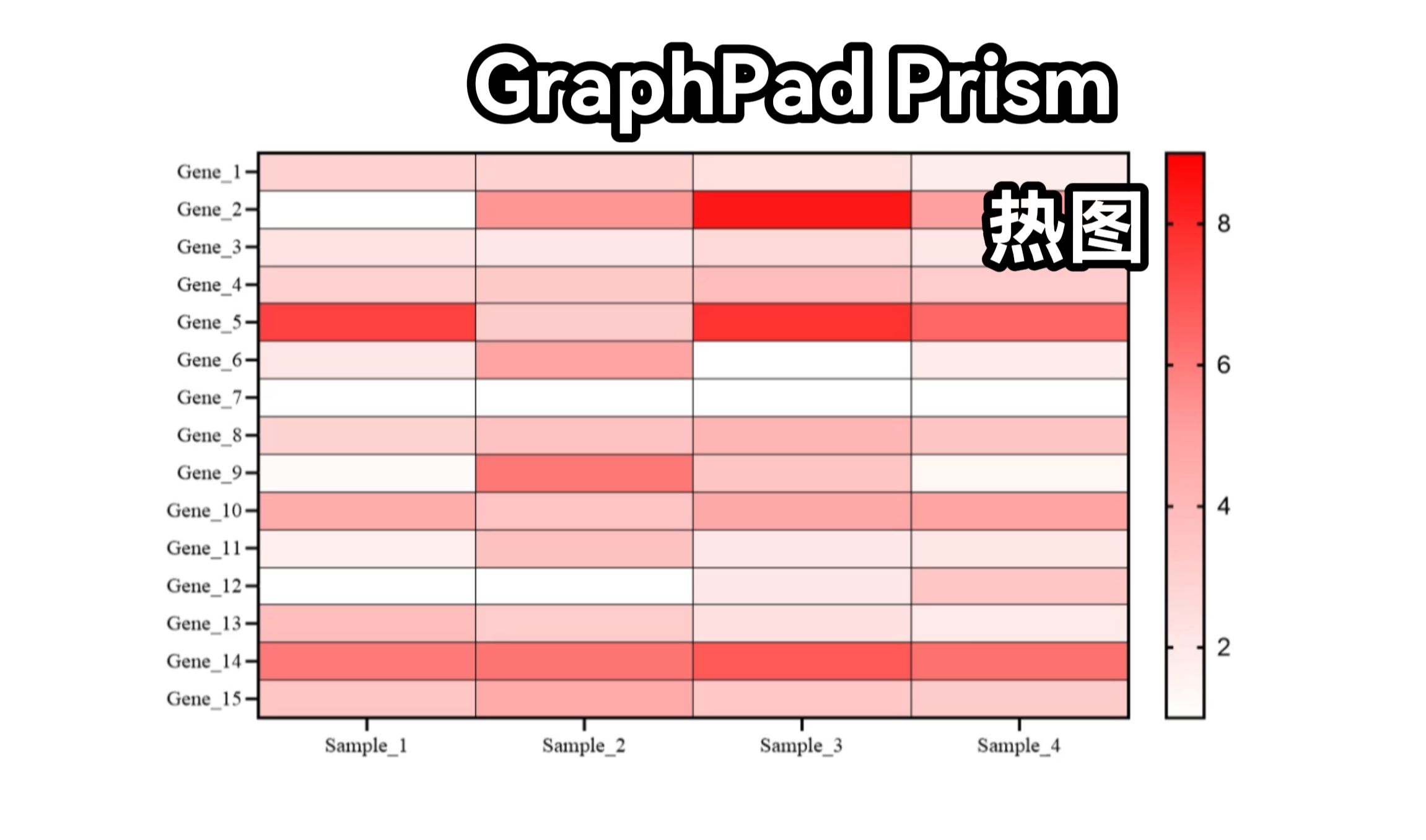 【Graphpad Prism】画热图并做简单美化