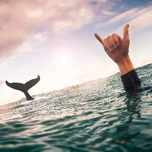 普通网民许先生 