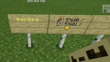 我的世界:特殊图标打法(变色和金币)