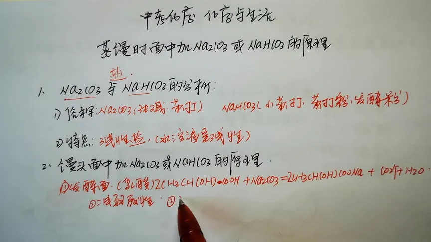 中考化学,化学与生活,碳酸钠与碳酸氢钠在生活中的应用