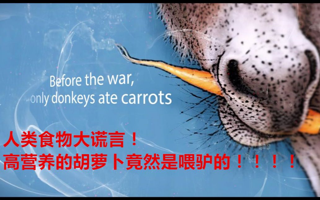 【喂驴的胡萝卜吃完能夜视?】胡萝卜的二战翻身史,不是因为有营养,...