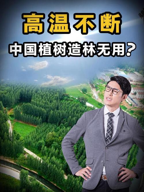 植树造林无用?中国森林覆盖率超25%,为何40度高温还不断