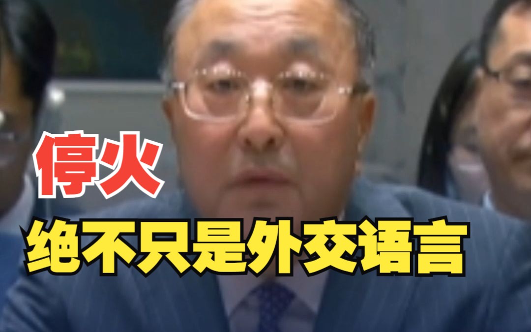 中方投票否决美国草案 !停火绝不只是外交语言,而意味着更多平民的...