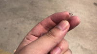 毛细玻璃管 保险丝玻璃管切割设备