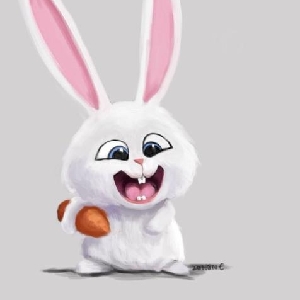 兔子coci 