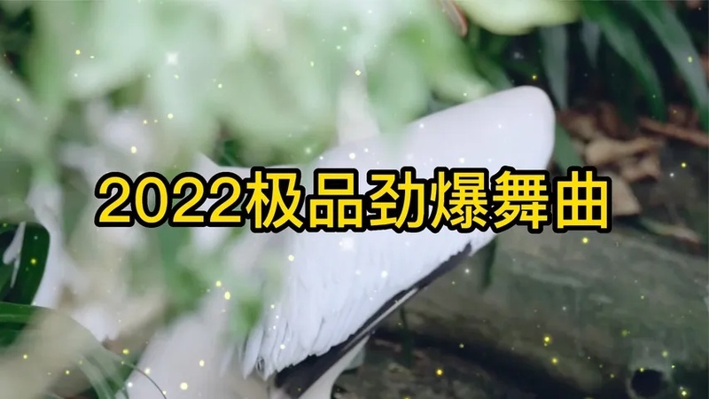 2022极品劲爆舞曲《3D环绕重低音劲爆DJ嗨曲》大家一起欣赏吧