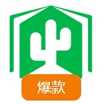 仙人掌爆款小说