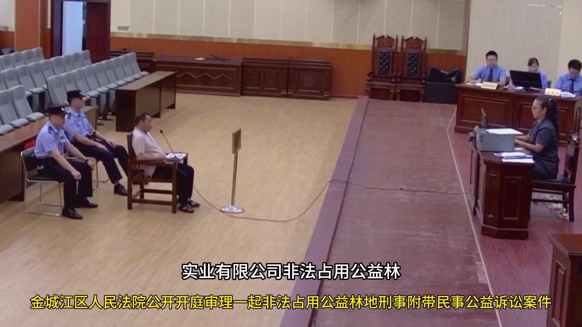 .金城江区人民法院公开开庭审理一起非法占用公益林地刑事附带民事.