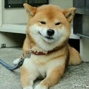 上进心666 