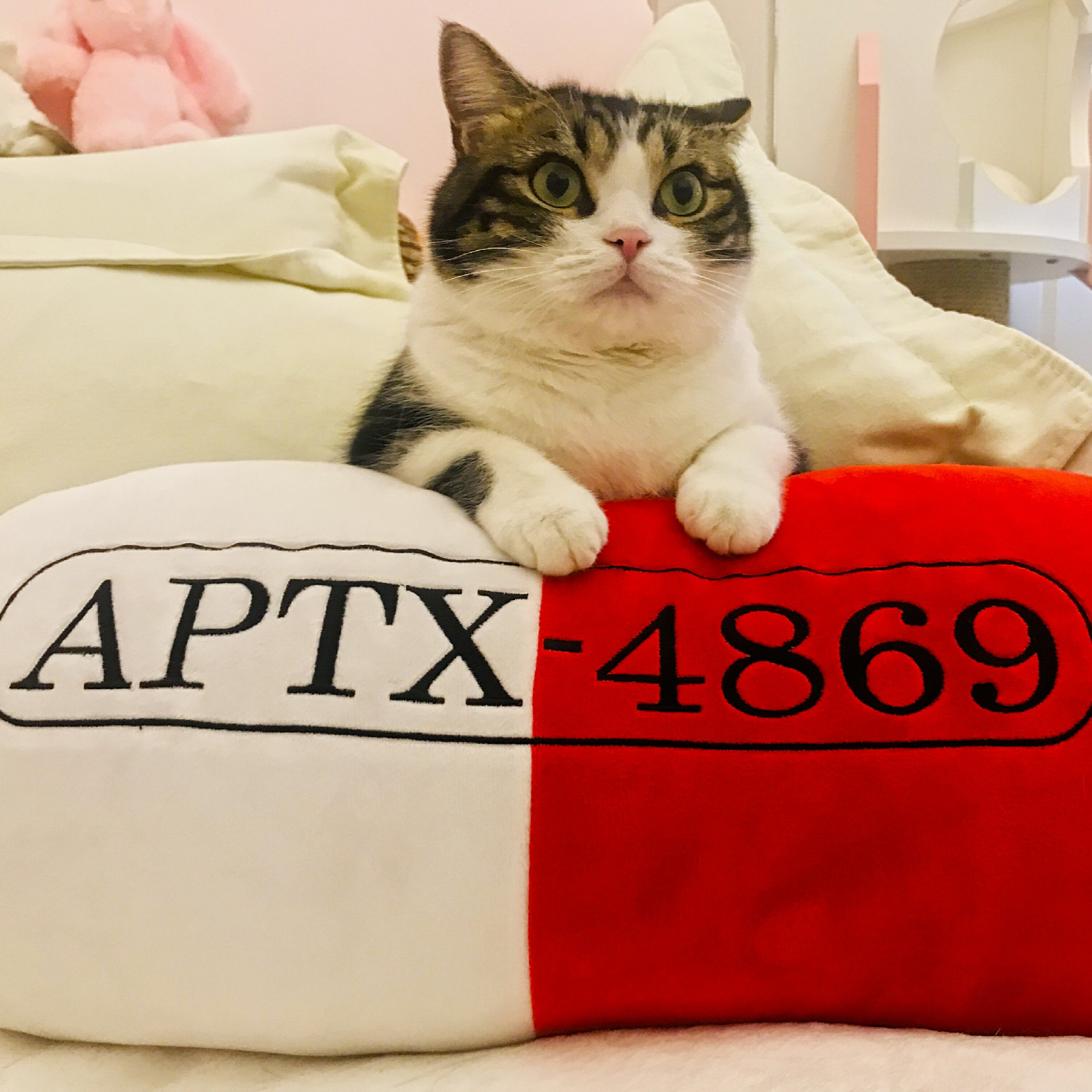 呆小萌桩-APTX4869 