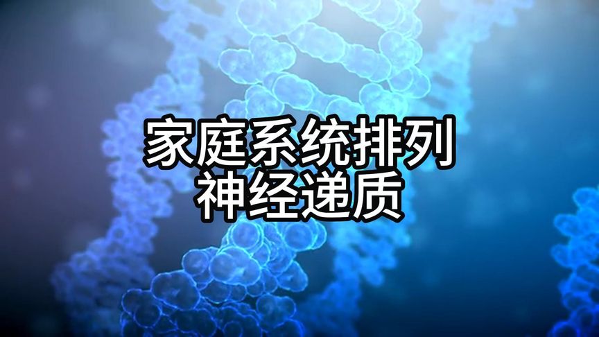 家庭系统排列神经递质