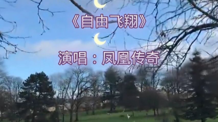 凤凰传奇演唱《自由飞翔》