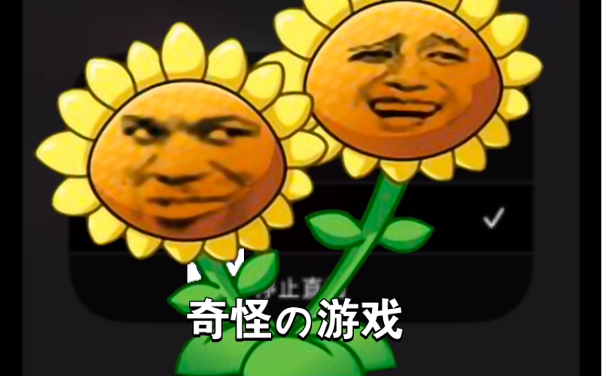 周五夜放课/错误化BF
