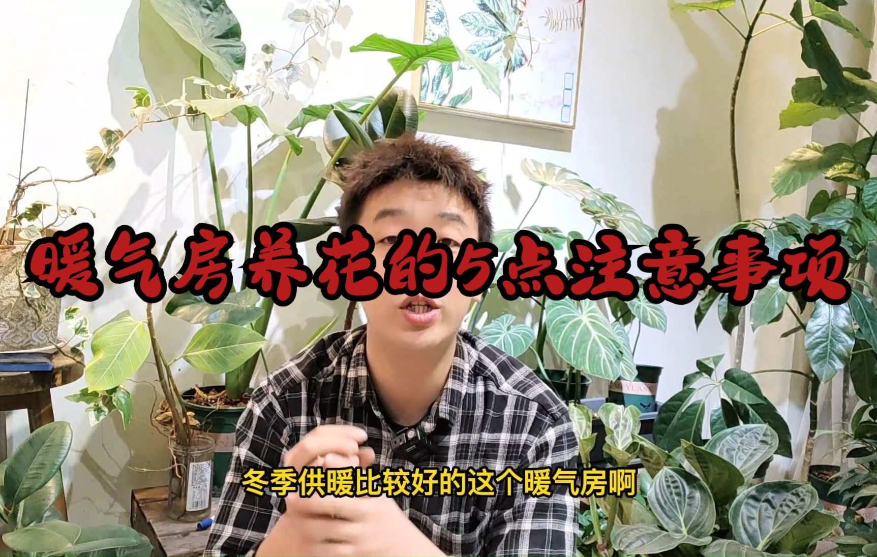暖气房养花的5点注意事项