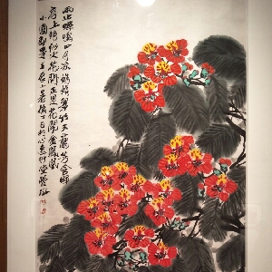鸡屎藤 