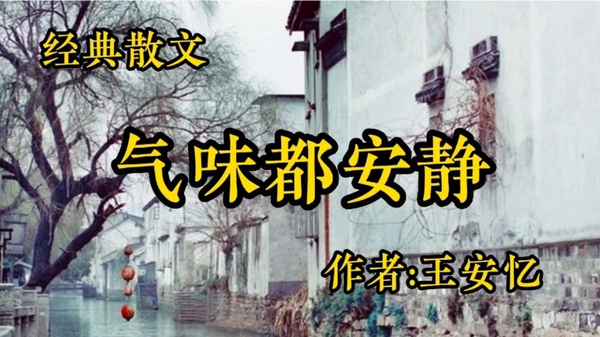 《气味都安静》作者,王安忆