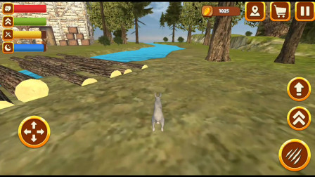 兔子模拟器 小兔子荒野大冒险 模拟生存