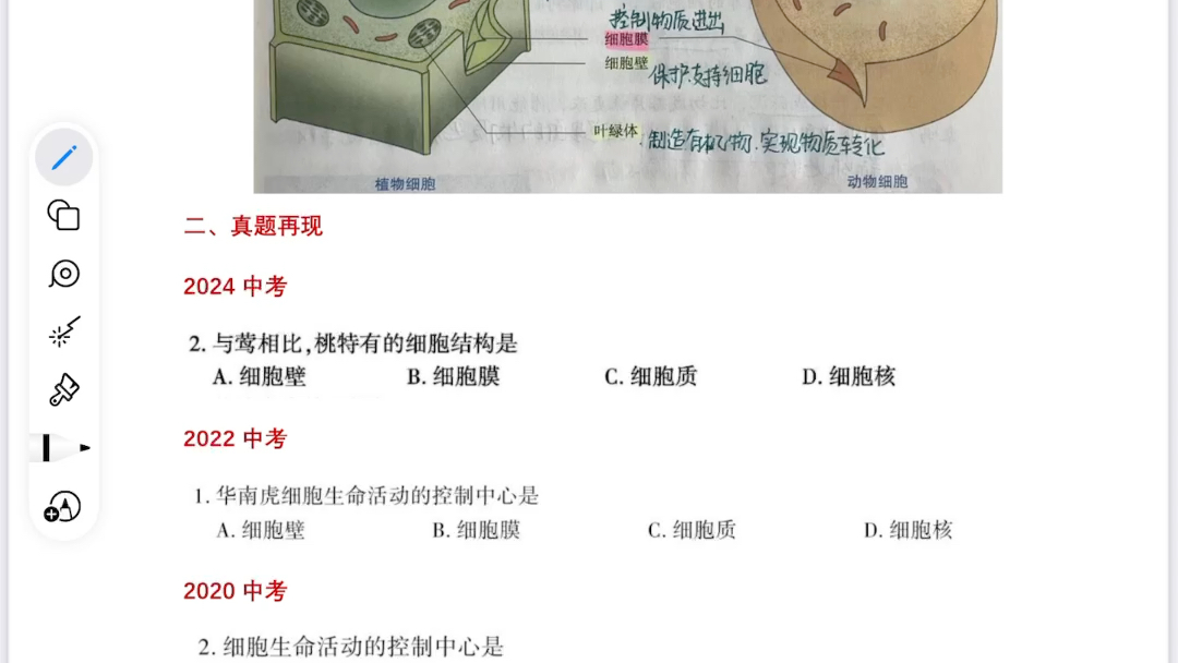 初中生物—细胞的结构