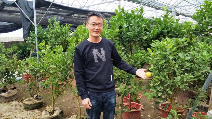 这4种花不仅能观赏还具有很强的药用价值,以后别再丢掉啦!