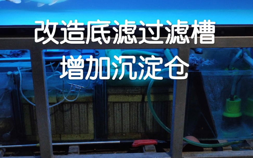 鱼缸底滤过滤系统,改造升级增加沉淀仓,看效果怎么样?