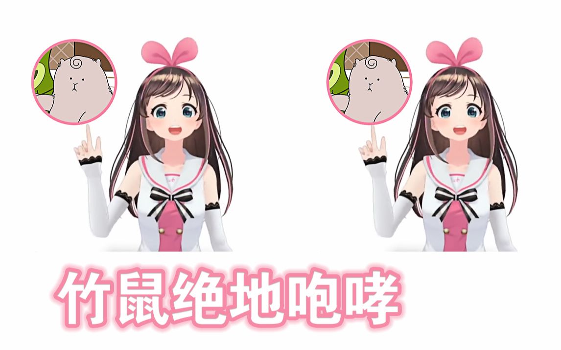 【绊爱酱】竹鼠绝地咆哮【绊爱酱/华农兄弟】
