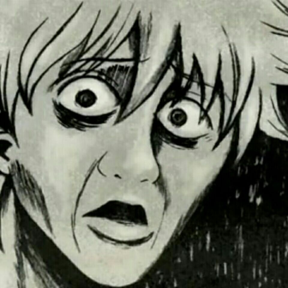 是马达哦 