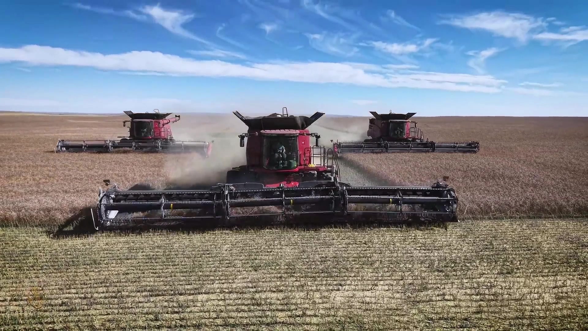 加拿大3万亩油菜籽规模化种植收获全过程 #农业机械 #收割机 #三农