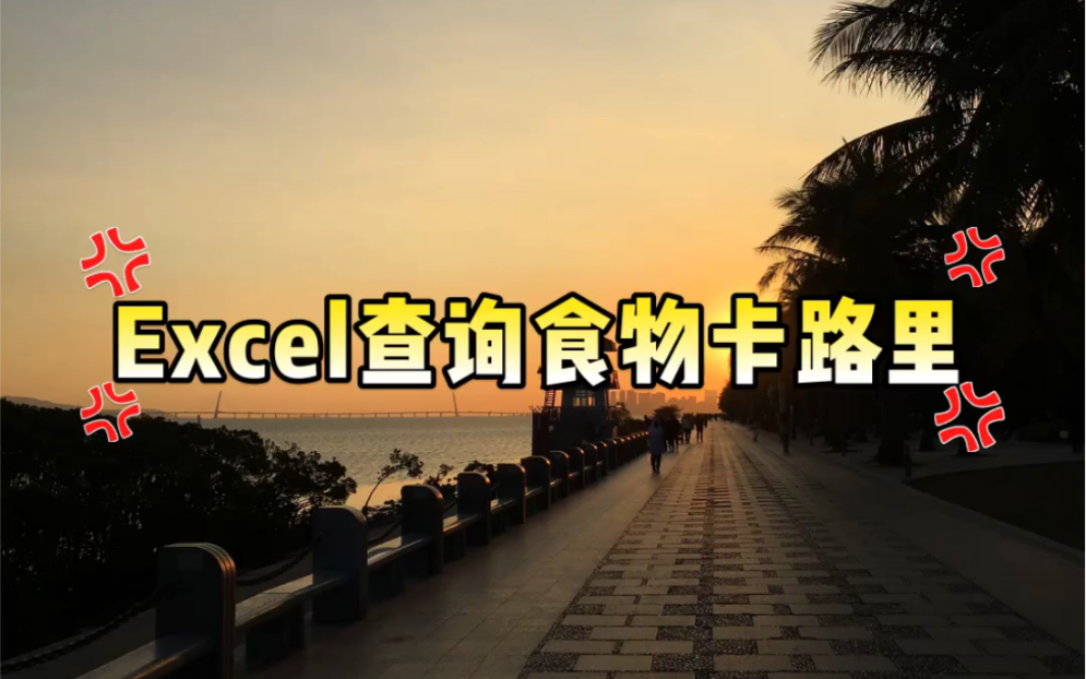 Excel查询食物卡路里