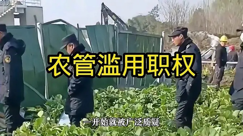 盘盘过去几年的农业坑,都是农村人的糟心事
