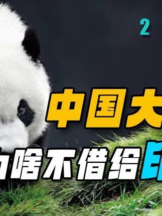 大熊猫租借17个国家,为啥不包括印度?熊猫:我不想脱皮大衣#大熊猫 #...