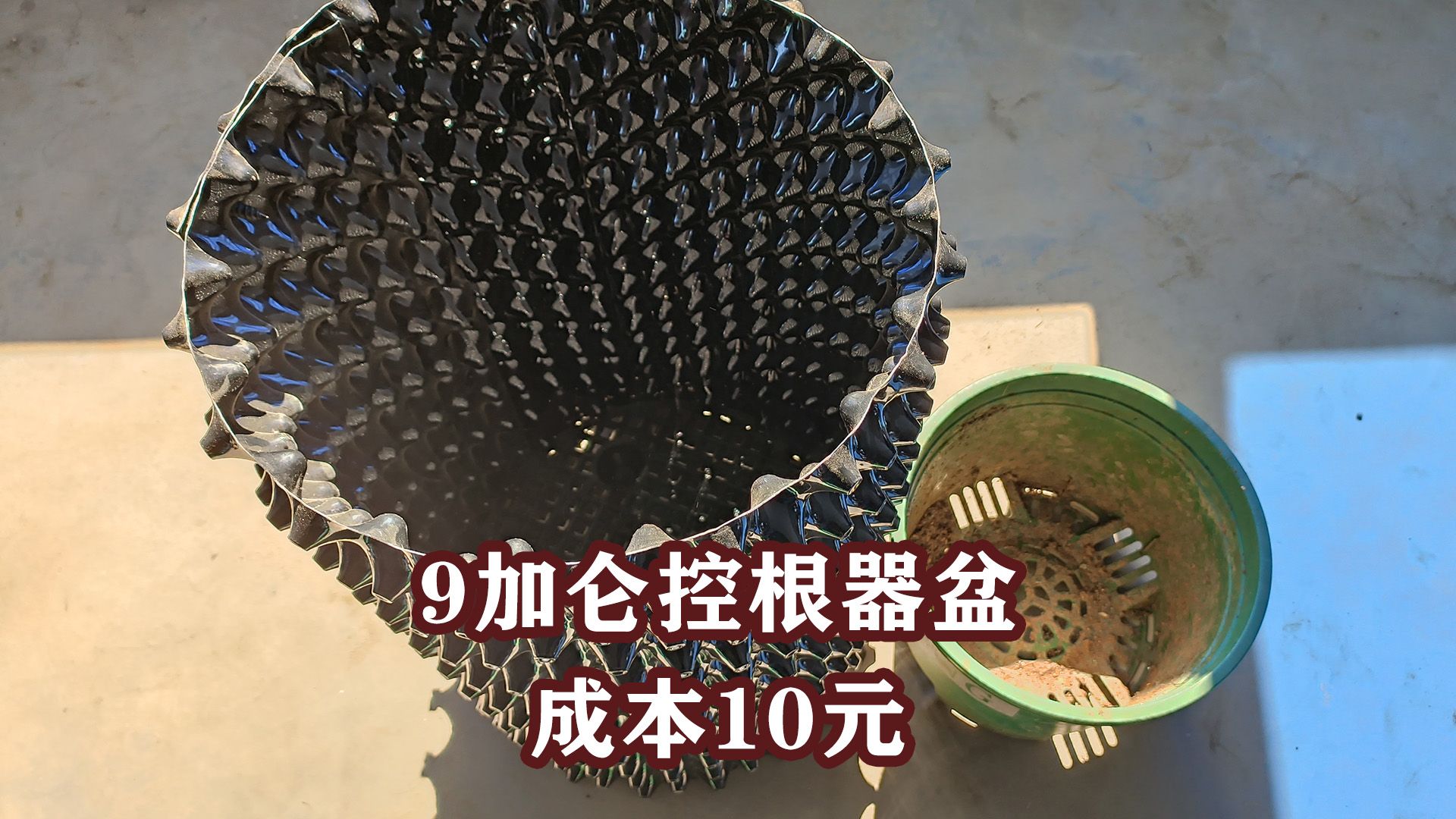 控根器花盆diy,便宜透气体积大,就是费水