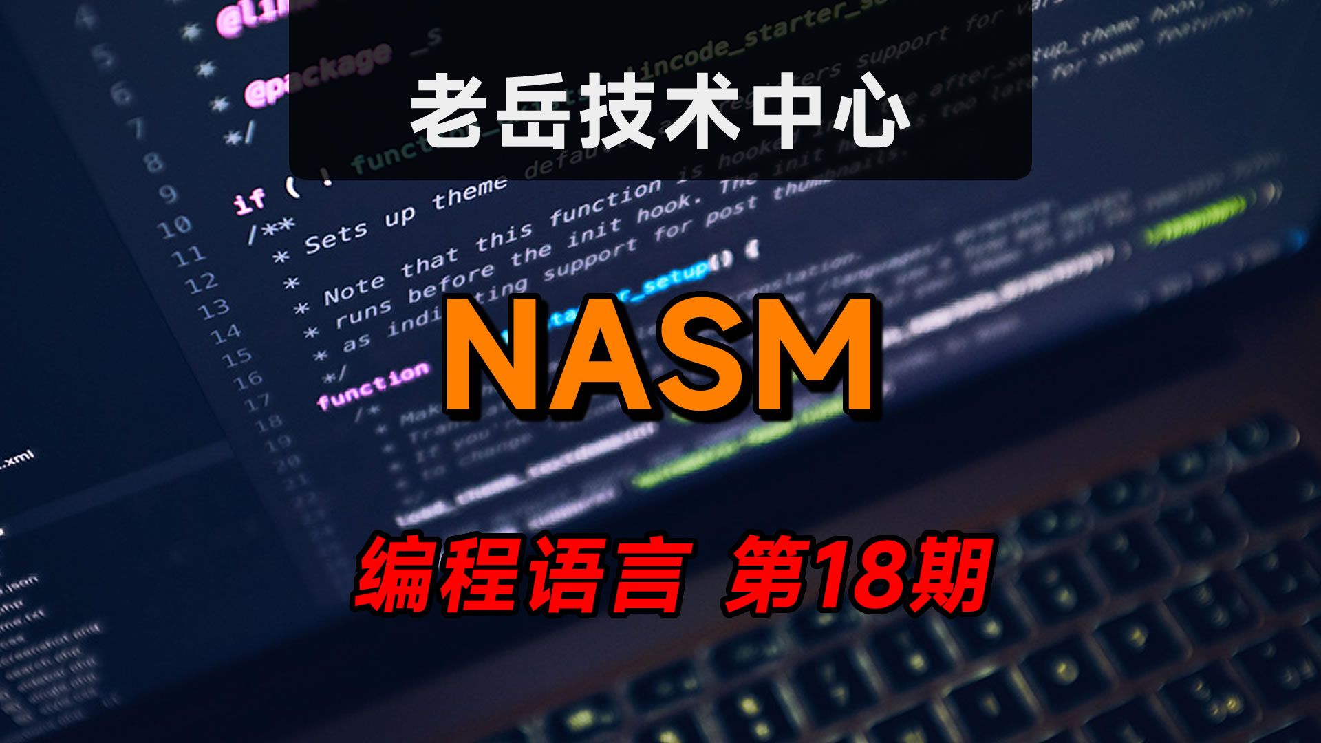 NASM编程语言全解析:从历史到应用,一网打尽
