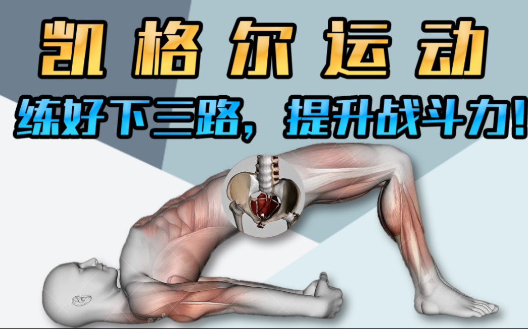 【武器强化训练】男士硬度提升,像钢管一样坚硬!