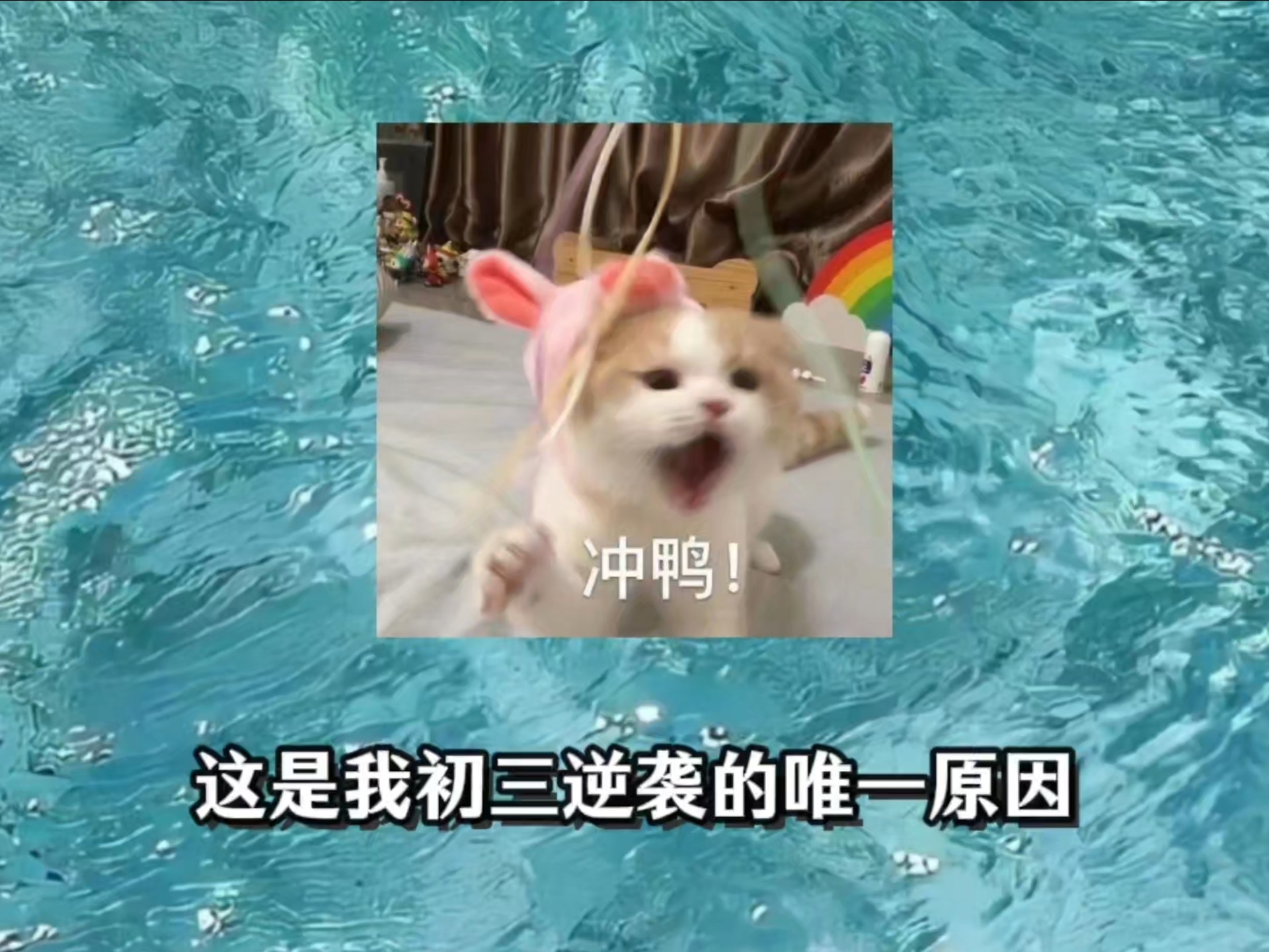 这是我初三逆袭的唯一原因!没计划直接抄