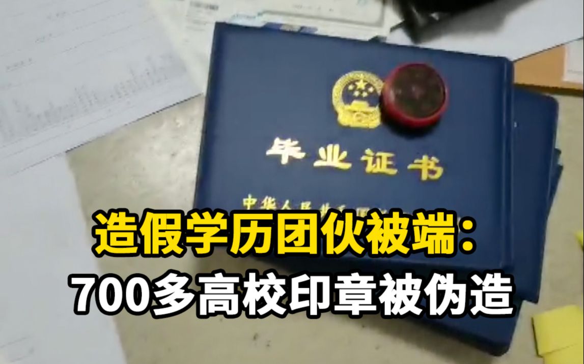 以假乱真?造假学历学位证书团伙被端:700多高校印章被伪造