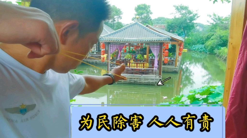 教你怎么使用一根橡皮筋轻松清理老鼠