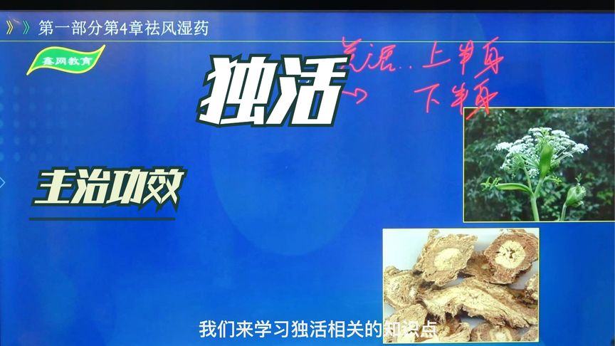 中药-独活的主治功效【2022执业药师】@抖音
