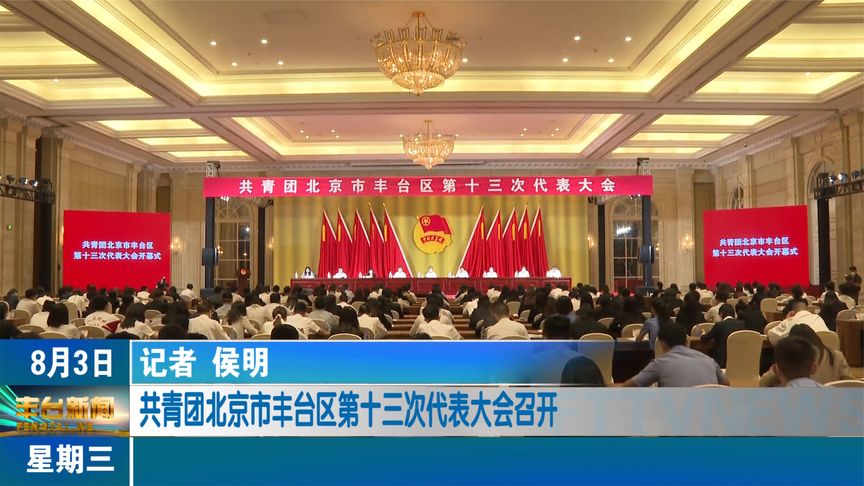 共青团北京市丰台区第十三次代表大会召开