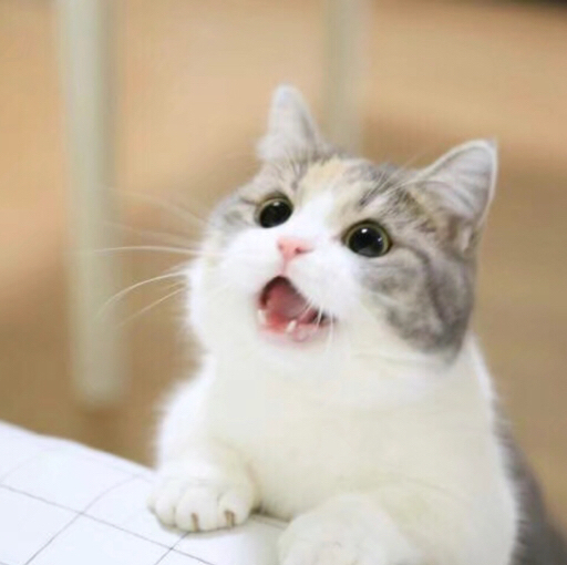 豆浆自来醒 