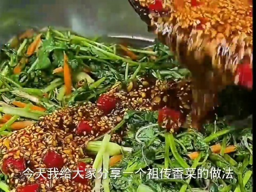 无尽的拉格朗日 拉格朗日 拉格朗日集结启航 祖传香菜最好吃的