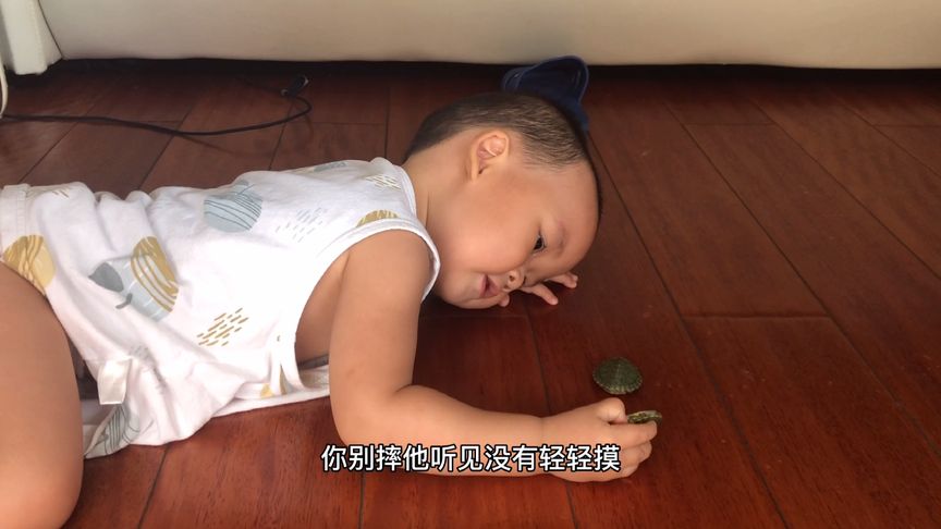 给宝宝买了2只乌龟,还好乌龟王八蛋命大,不然早都摔死了
