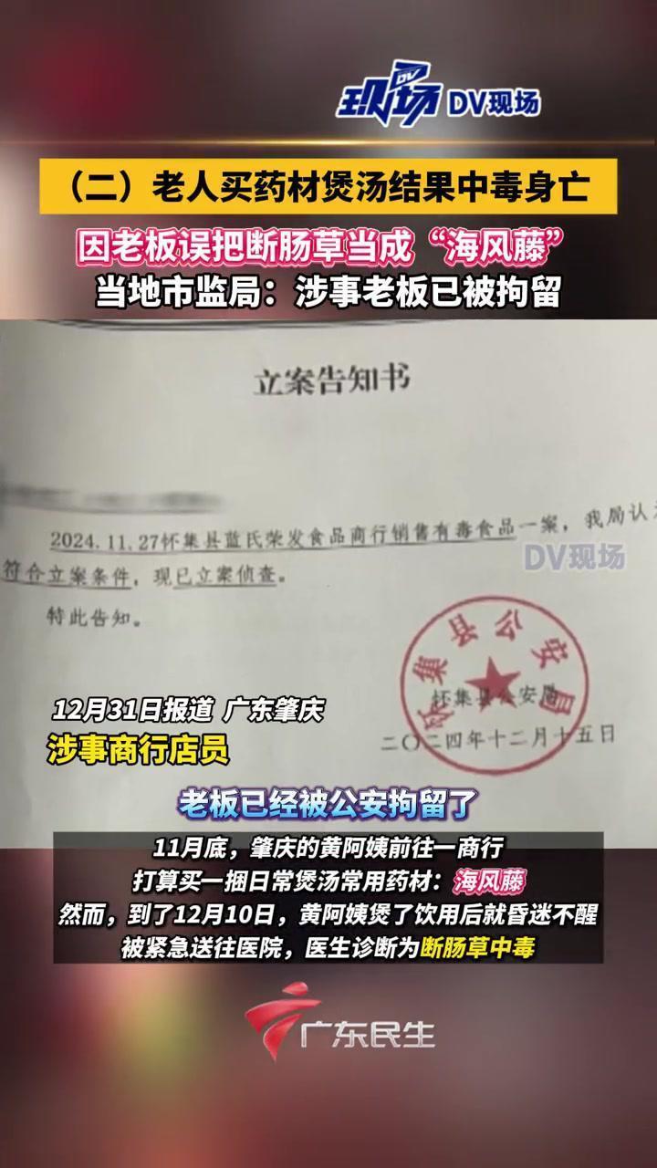老人买药材煲汤结果中毒身亡,因老板误把断肠草当成"海风藤"