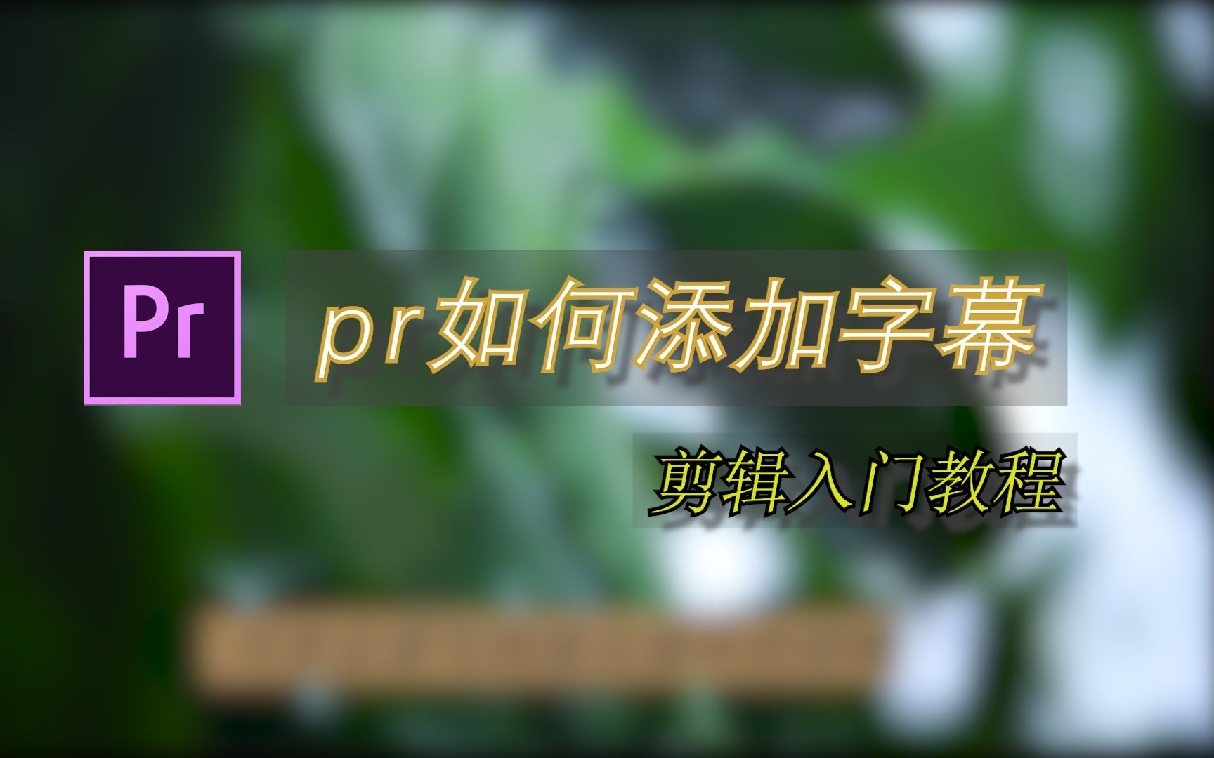 【pr入门教程】三分钟教你如何快速在pr里添加字幕,快来学习!