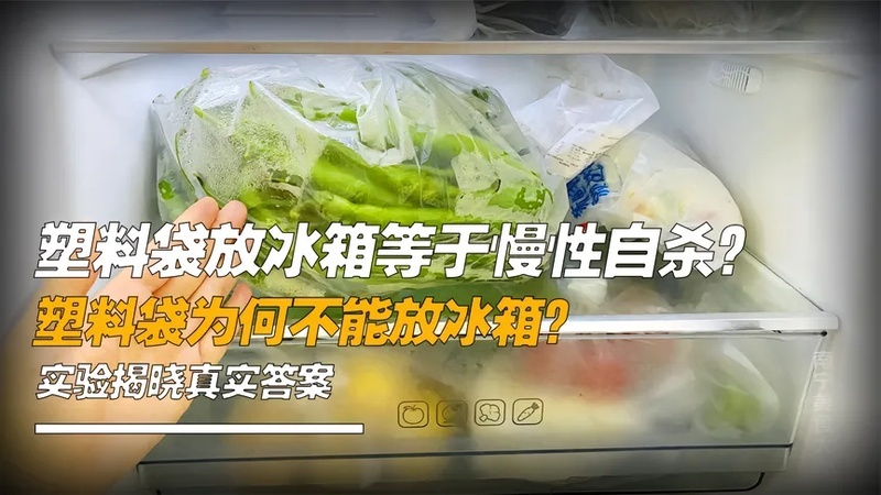 塑料袋放入冰箱等于慢性自杀塑料袋为何不能放冰箱危害有多大