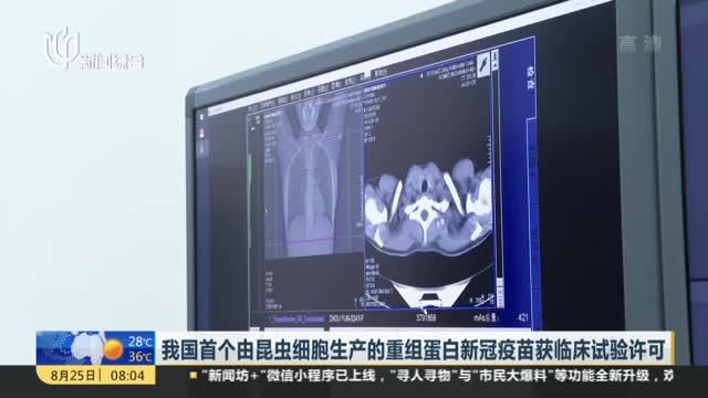 我国首个由昆虫细胞生产的重组蛋白新冠疫苗获临床试验许可