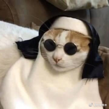李有事嘛 