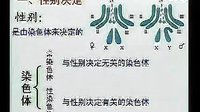 《伴性遗传》高三生物优质课展示