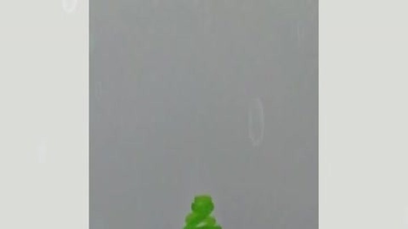 这样画圣诞树简单易学