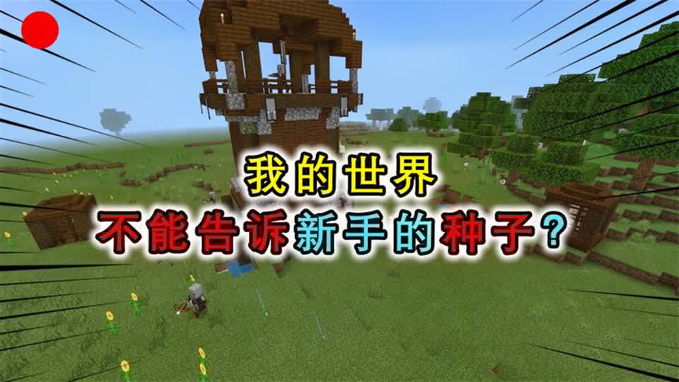 我的世界:神秘的富裕种子,不仅安排生存路线