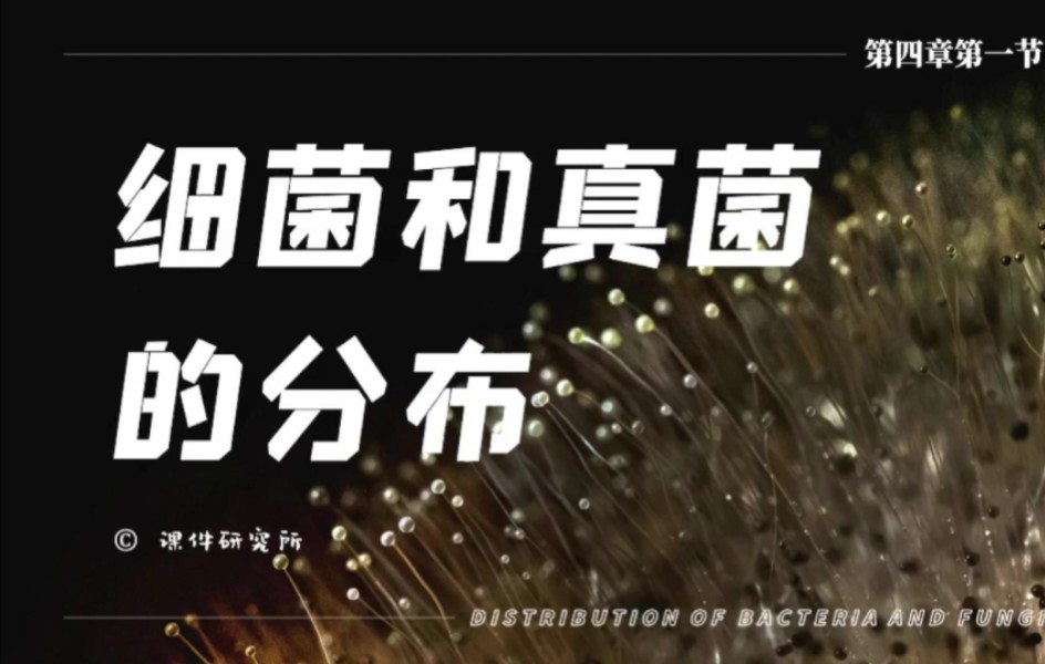 人教八上《细菌和真菌的分布》